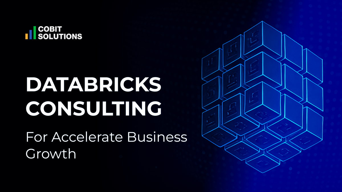 Databricks Consulting | Cobit Solutions