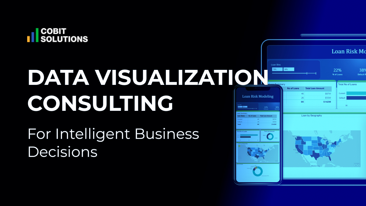 Data Visualization Consulting Services | Cobit Solutions